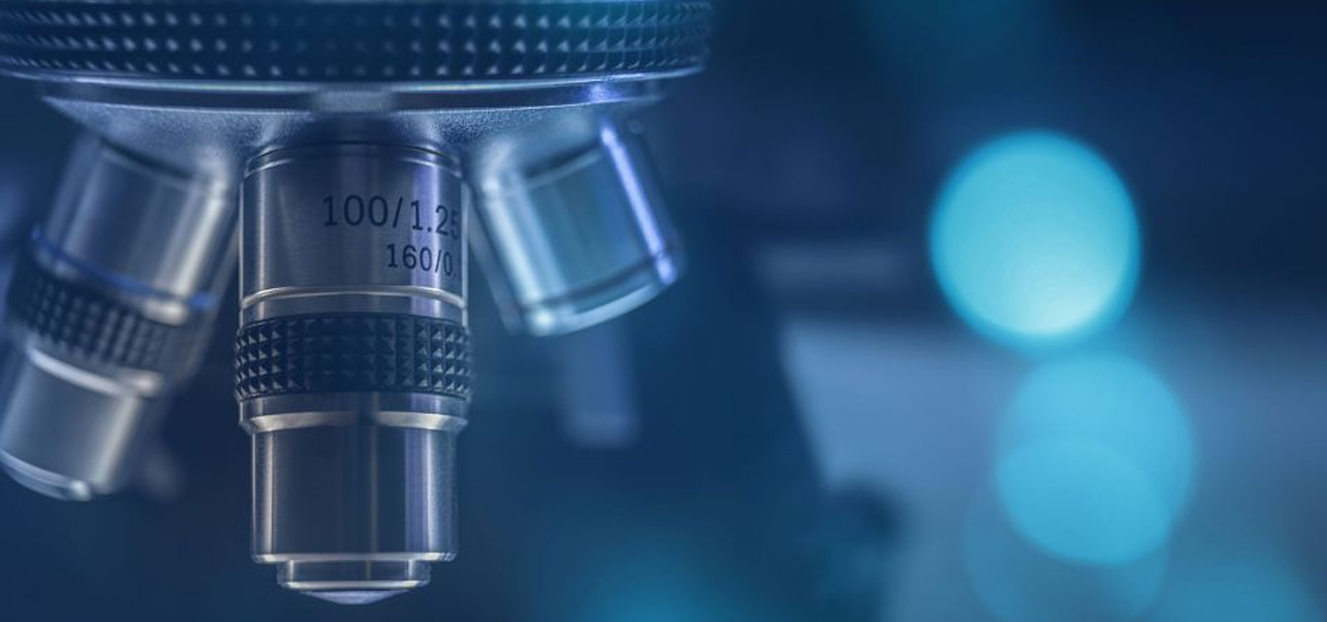 Home Page Meta Title